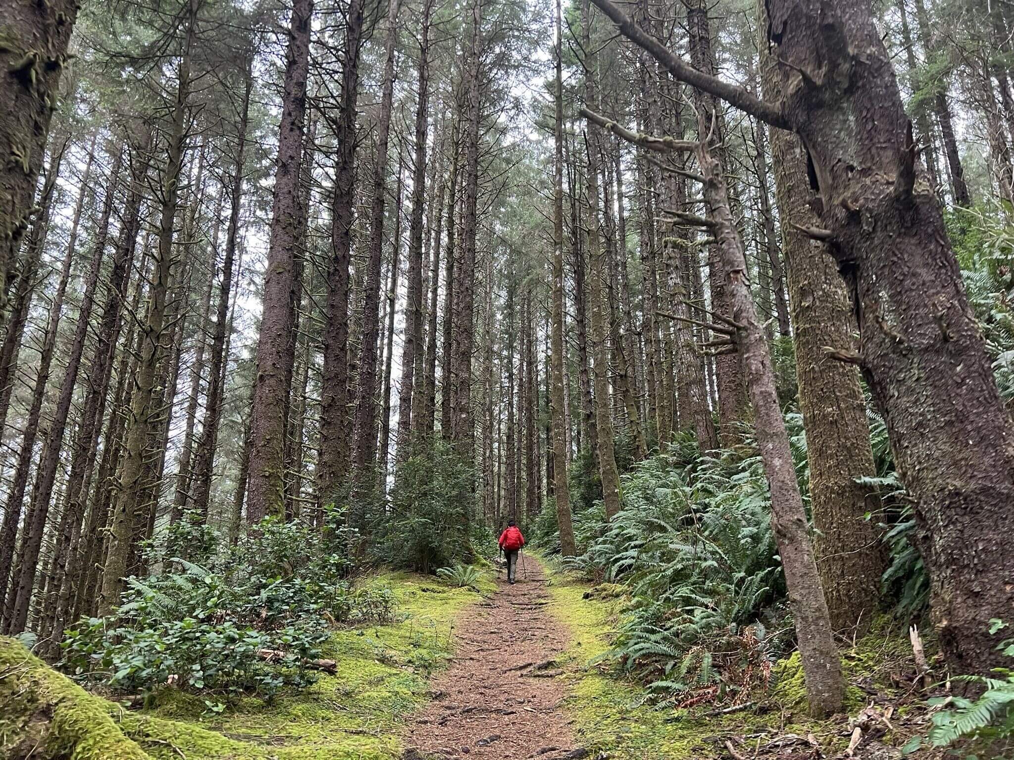 Run Hub Northwest - Eugene Running & Walking Store